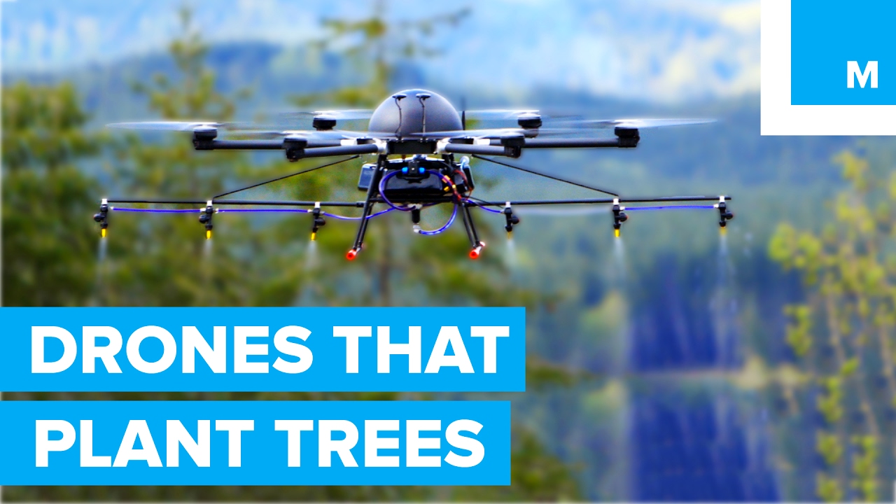 How Drones are Helping to Plant Trees - A Cleaner Future - The Thinking ...