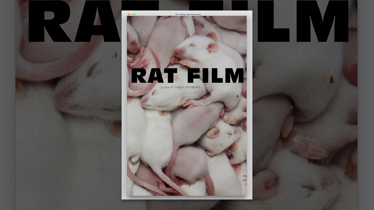 RAT FILM a Film by Theo Anthony - The Thinking Conservative