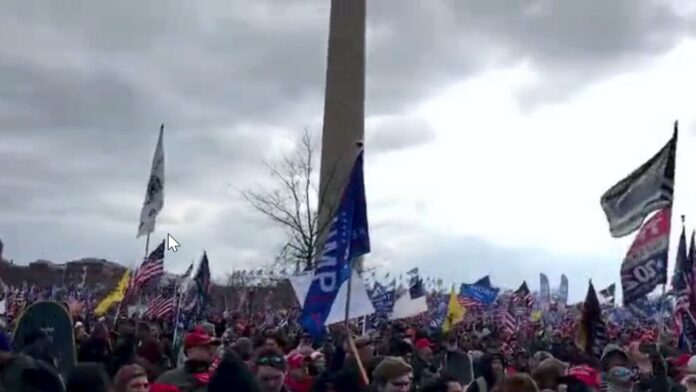 EXCLUSIVE: Independent Journalist Tayler Hansen: A Riot that Turned ...