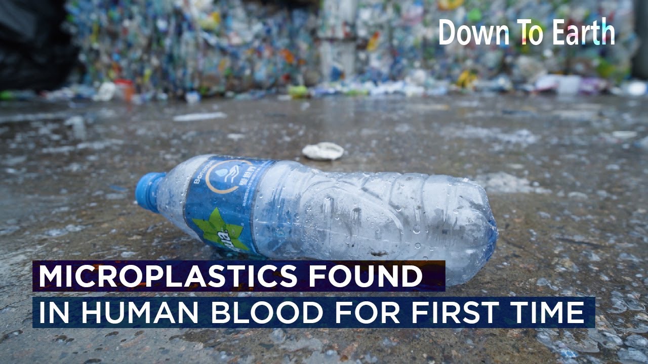 Study: Microplastics Found in Human Blood for First Time Ever - The ...
