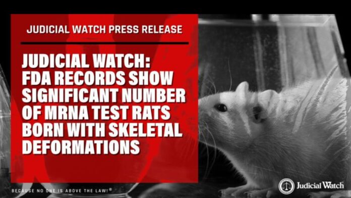 Judicial Watch: FDA Records Show Significant Number of mRNA Test Rats ...