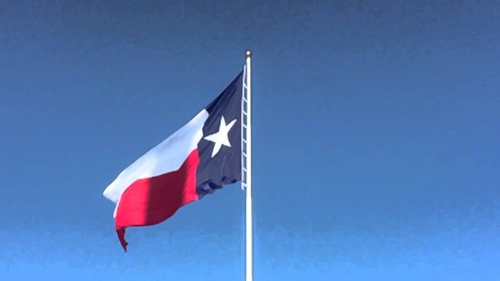 Texas Voters Approve Amendments to Ban Noncitizens From Voting ...