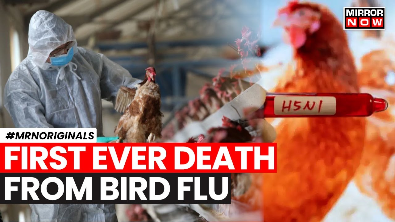 Man With First Human Case of H5N2 Bird Flu Died in Mexico, WHO Confirms ...