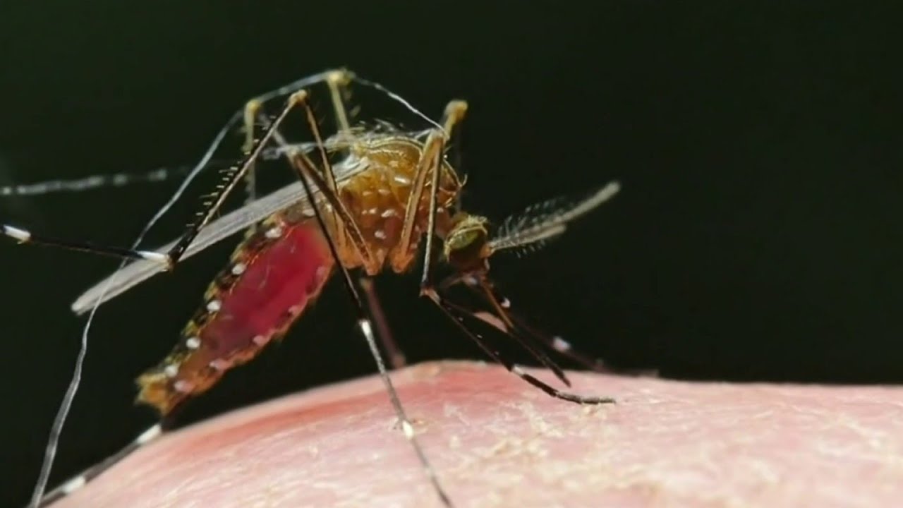 ‘Flying Syringes’: Next-Level Biomedical Terrorism - The Thinking ...