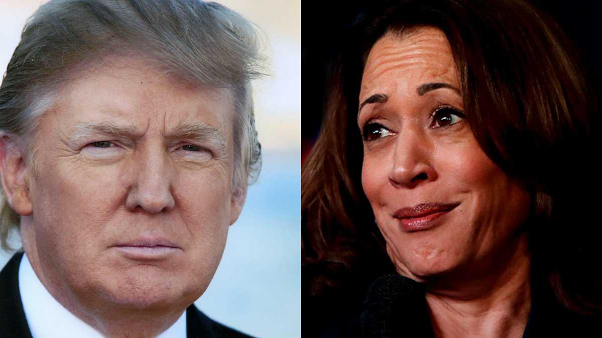 The Trump–Harris 2024 Presidential Election Matchup Is Now Official ...