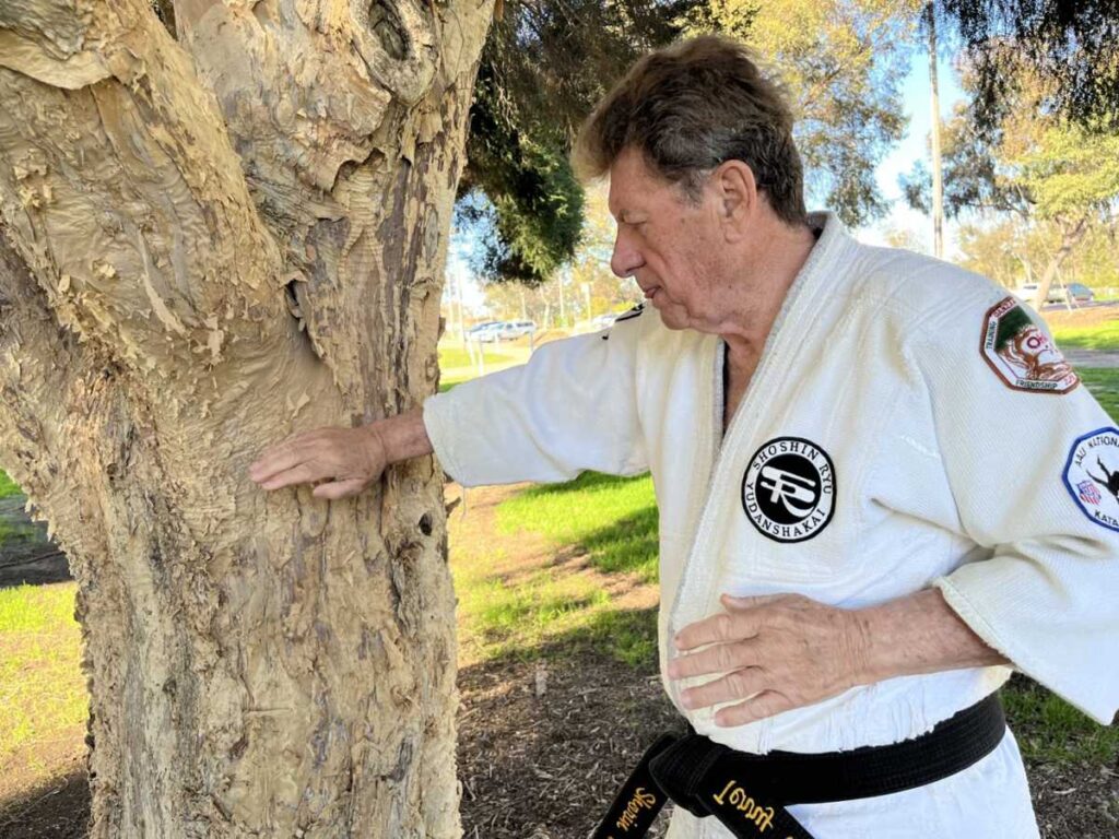 Karate vs. Stroke: Local uses martial arts to repair damage from stroke ...