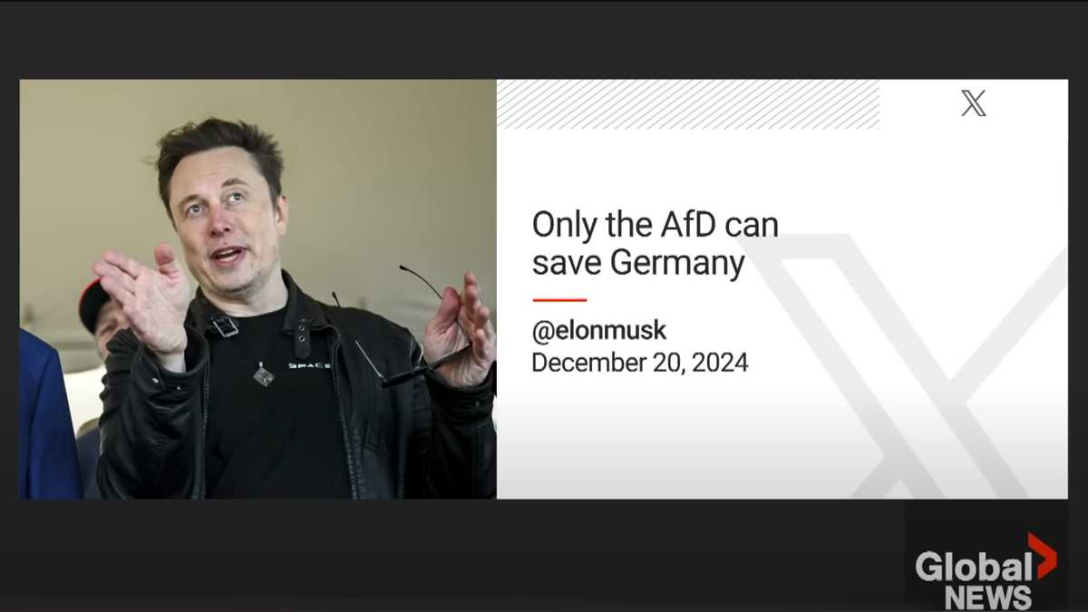 Elon Musk’s Upcoming Live Interview With Germany’s AfD Leader Triggers ...