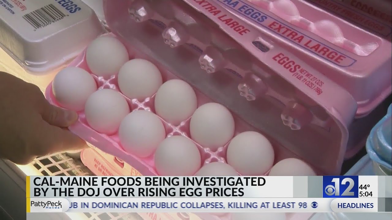 Largest US Egg Producer Cal-Maine Under DOJ Price Investigation - The ...