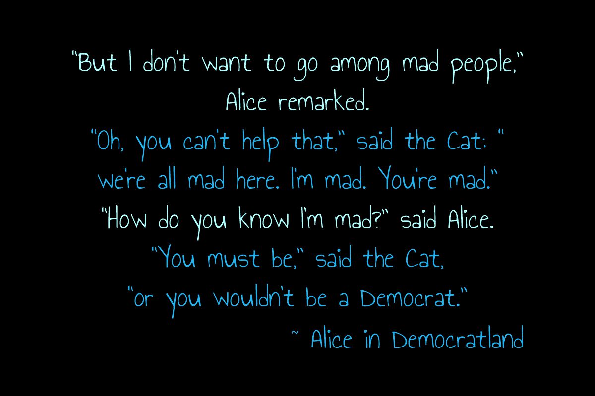Democrats 2025, the Very Definition of Insanity - The Thinking ...