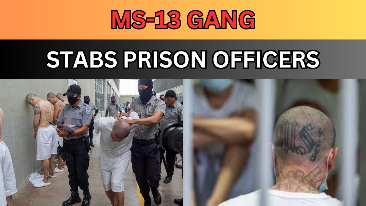 MS-13 Gang Members Allegedly Stab 3 Virginia State Prison Officers ...