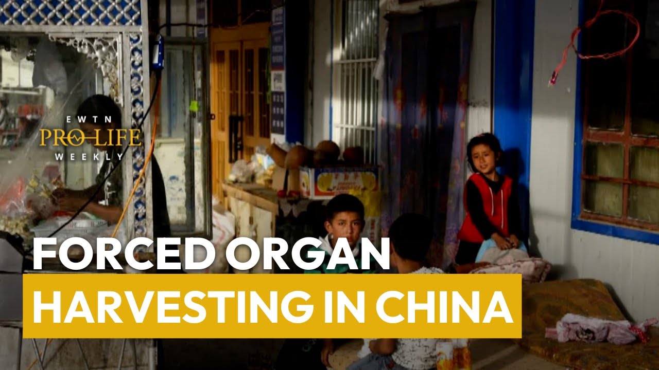Exposure of Forced Organ Harvesting Could Trigger CCP’s Fall: Chinese ...